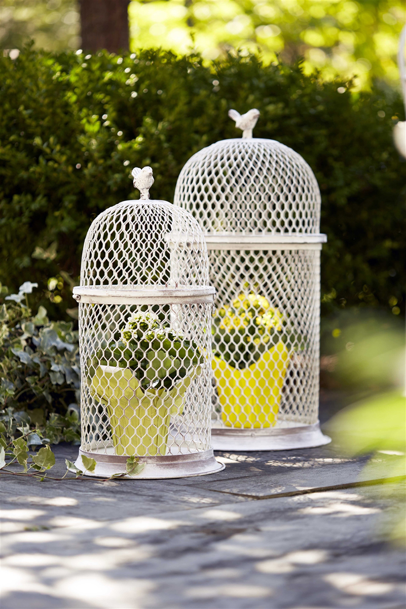 Chicken Wire Bird Cage (Set of 2)